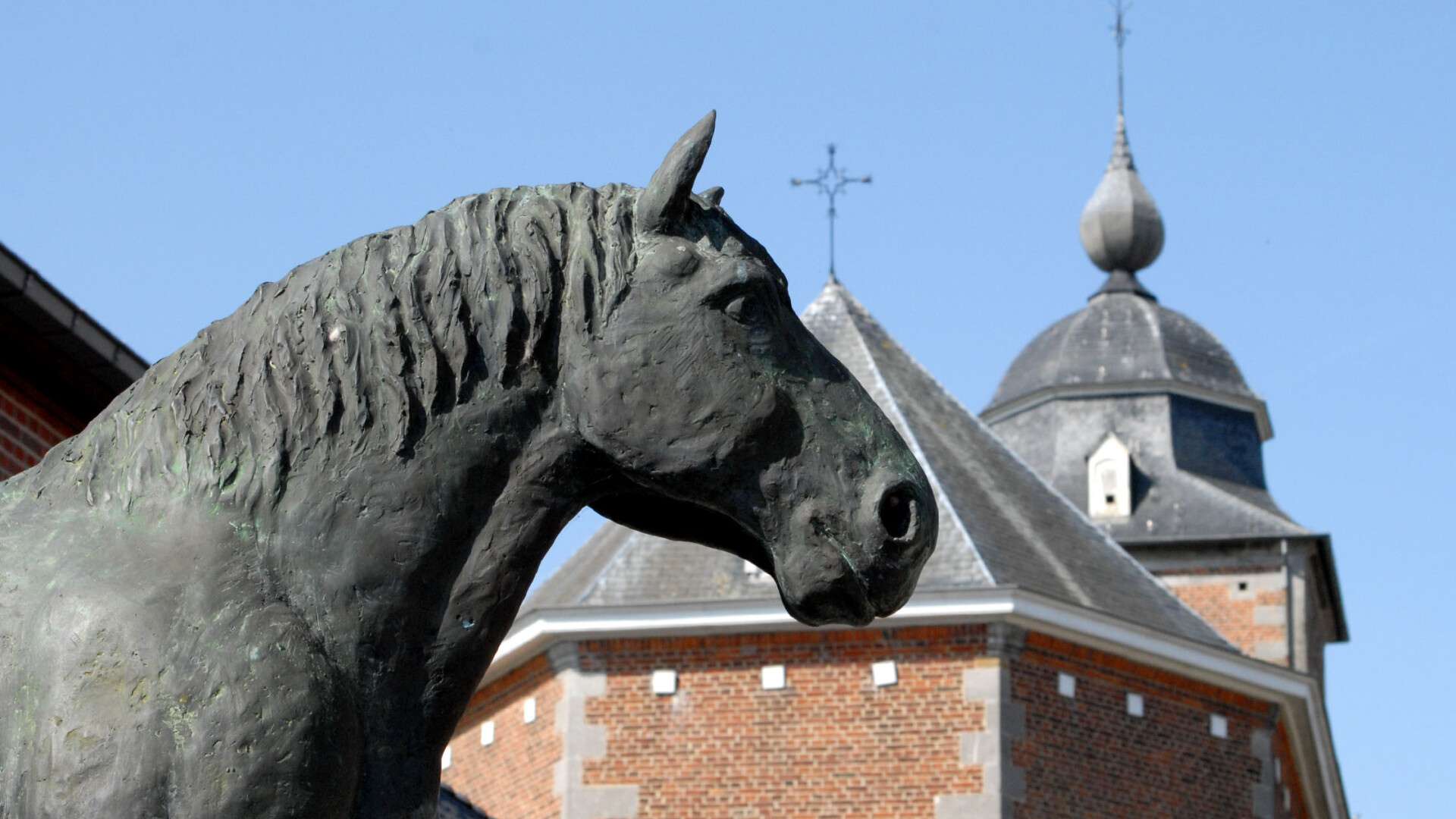 Computerwinkel Vollezele - Jdv Computers IT-bedrijf